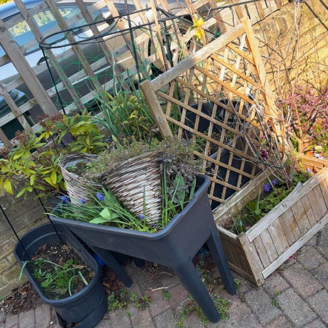 Garden Waste Disposal - The Rubbish Removers